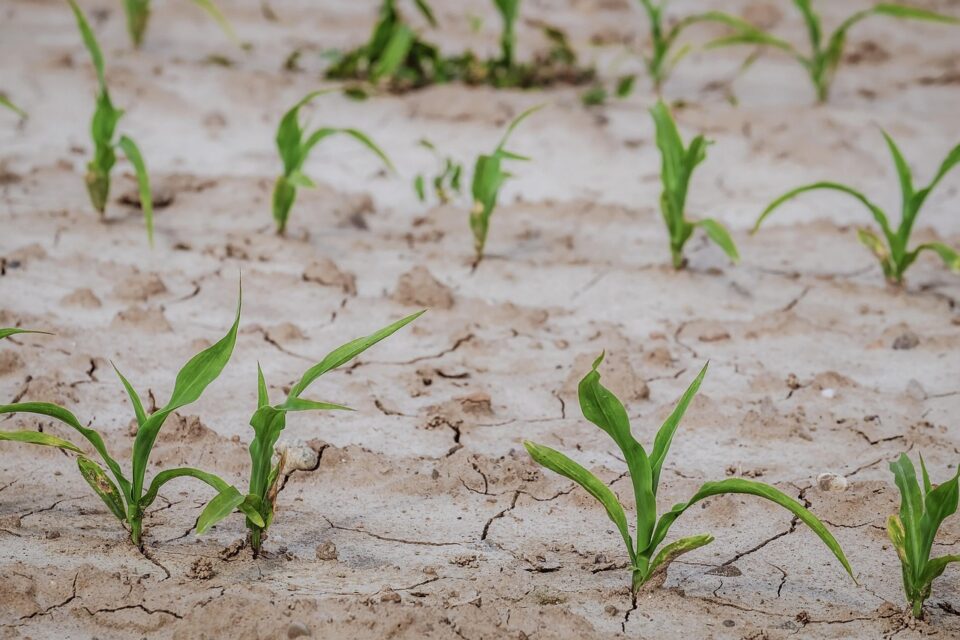 Freshwater Change - Planetary Health Check